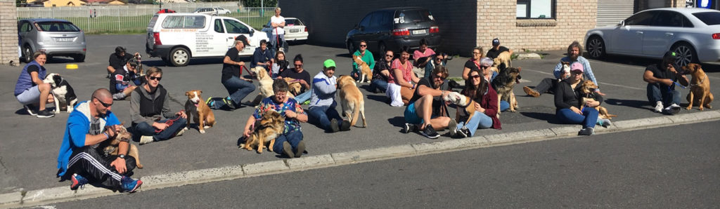 Home - K9 Intervention