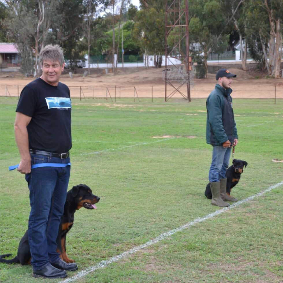 Services - K9 Intervention